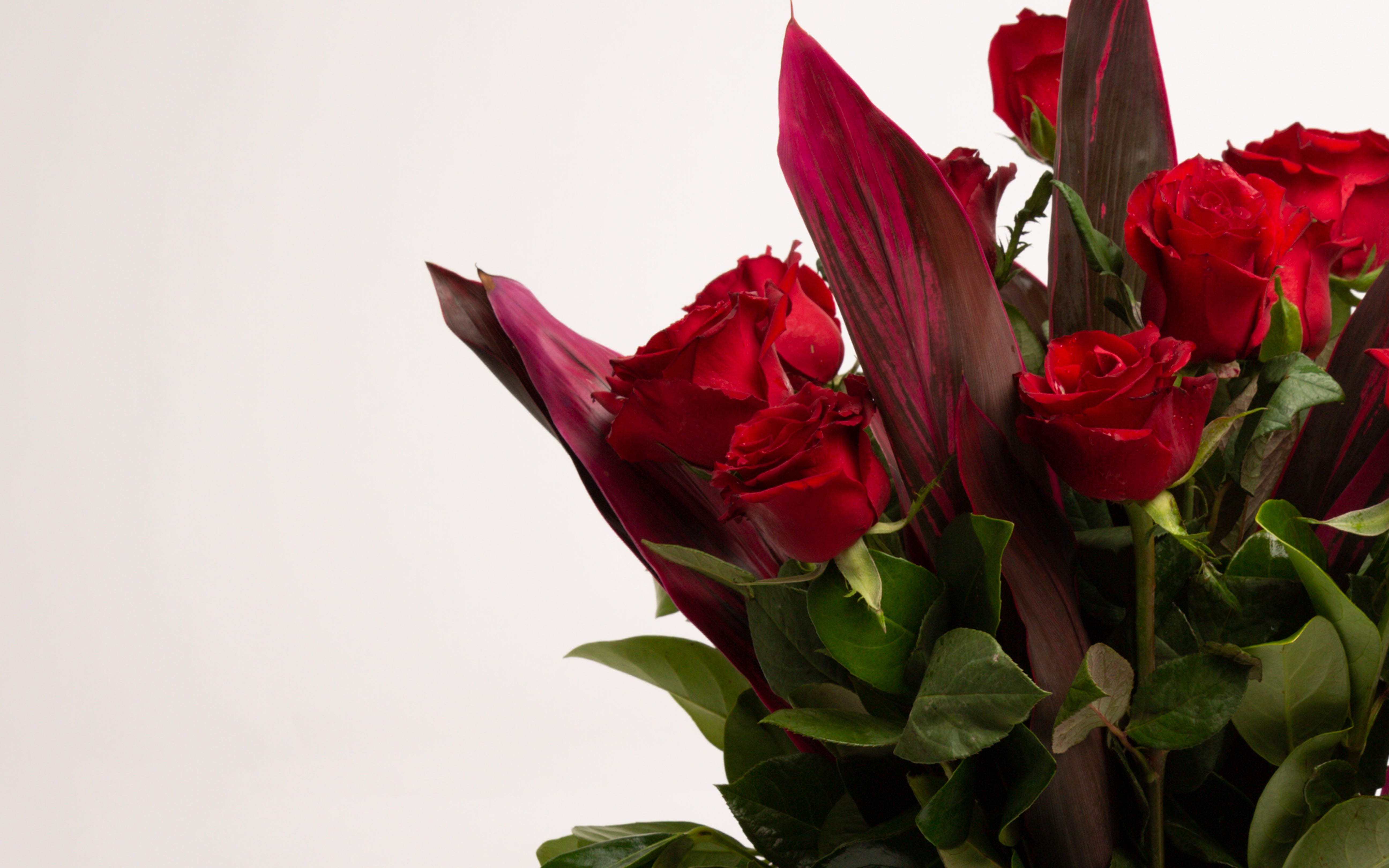 Roses - Beautiful Bouquets Delivered | Panache Flowers