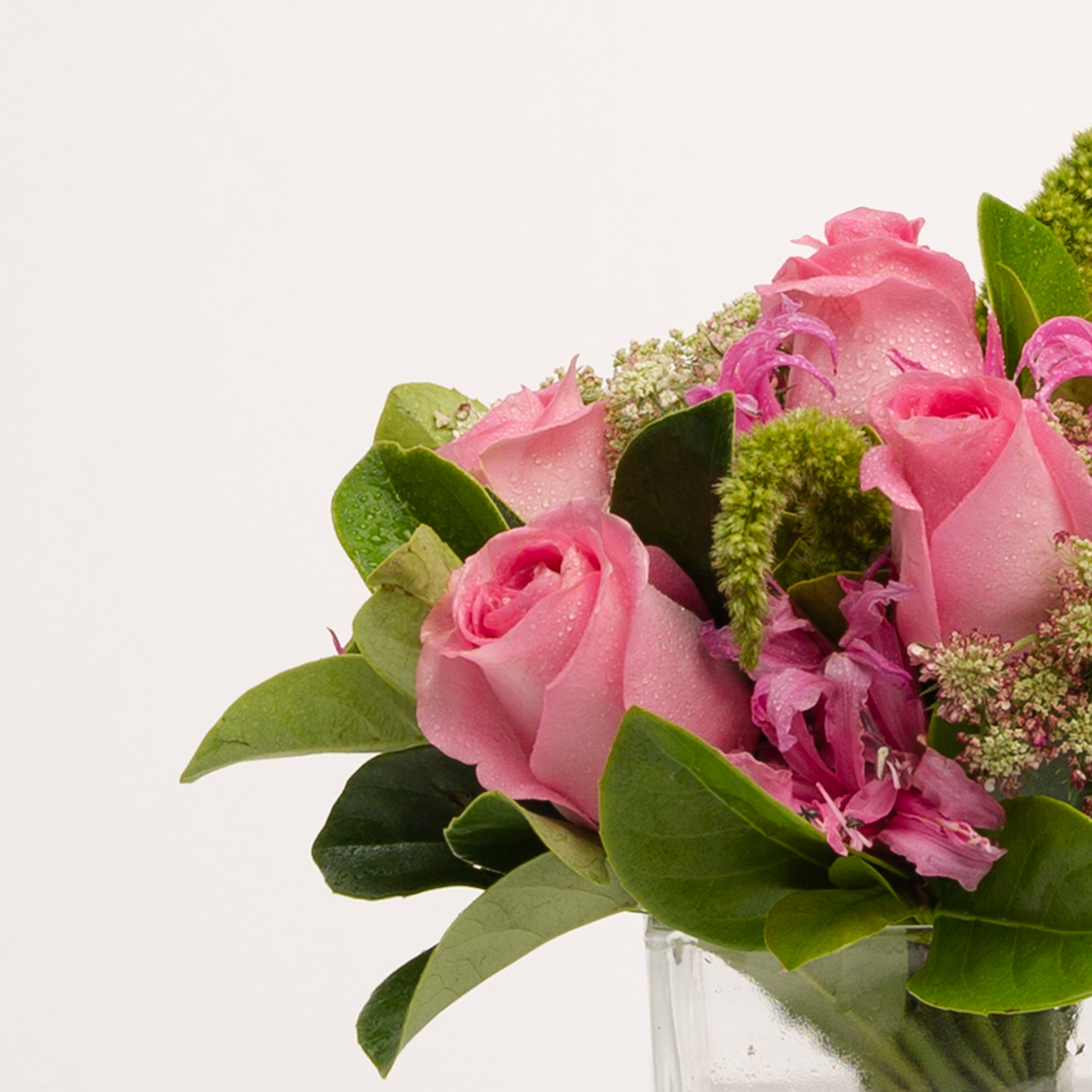 Dainty | Flowers & Arrangements | Panache Flowers Melbourne